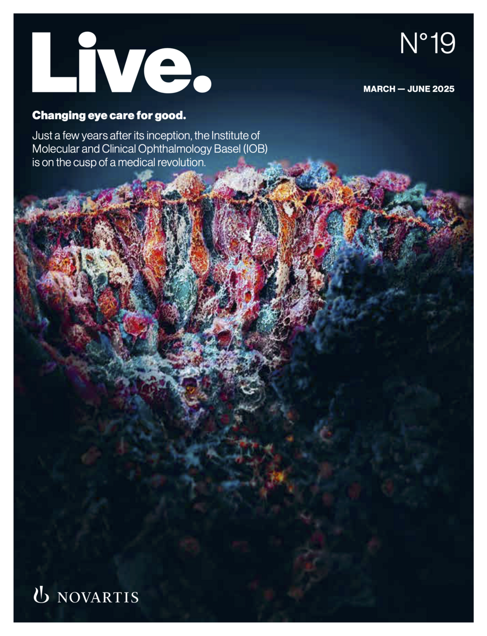 News (view all): IOB